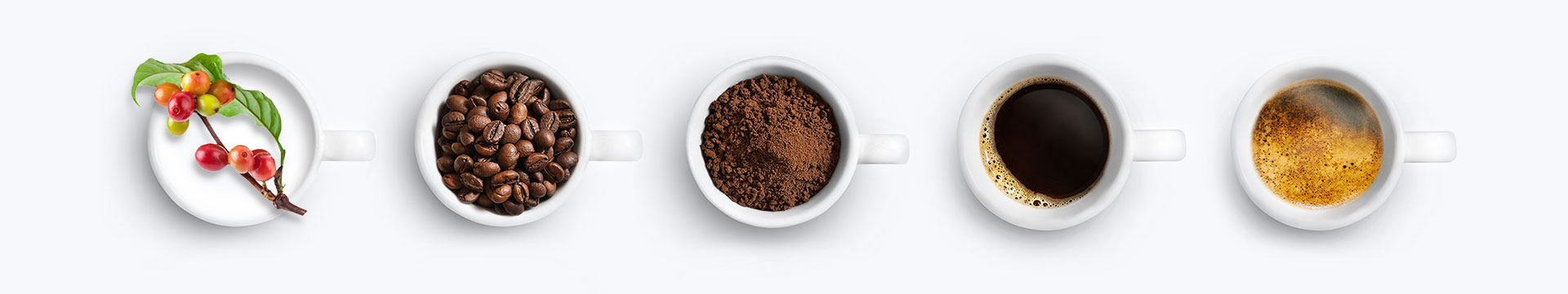 Dr. Coffee | The Original Home of official Dr. Coffee machines in Australia